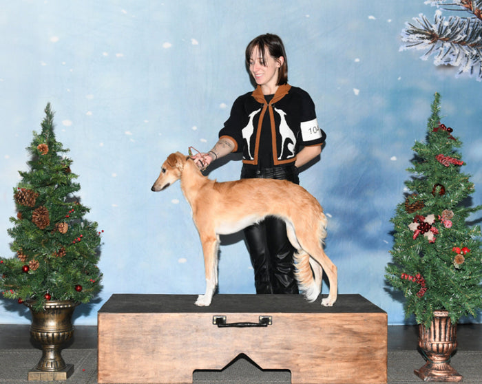 Snowflakes Bokeh Christmas Tree Photo Backdrop DBD-19307