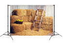 Western Barn Straw Farm Hay Photography Backdrop DBD-19355 – Dbackdrop