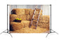 Western Barn Straw Farm Hay Photography Backdrop DBD-19355 – Dbackdrop