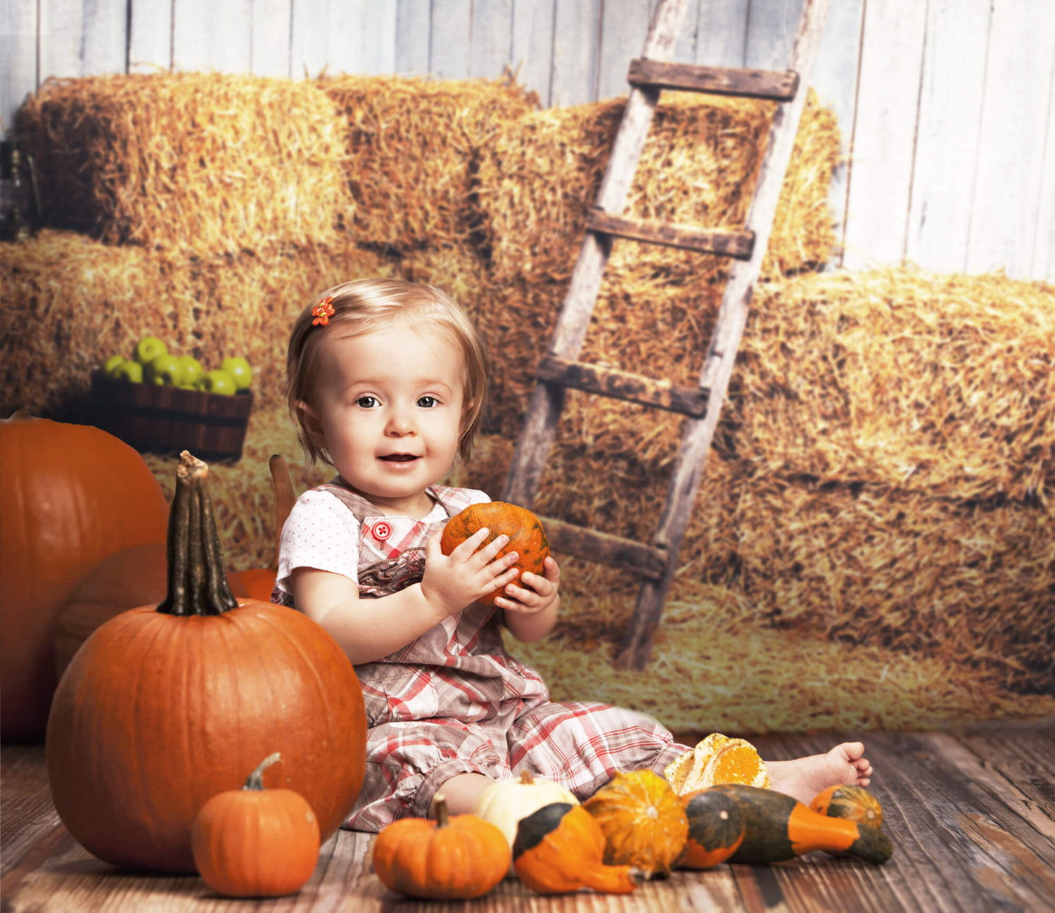 Western Barn Straw Farm Hay Photography Backdrop DBD-19355 – Dbackdrop