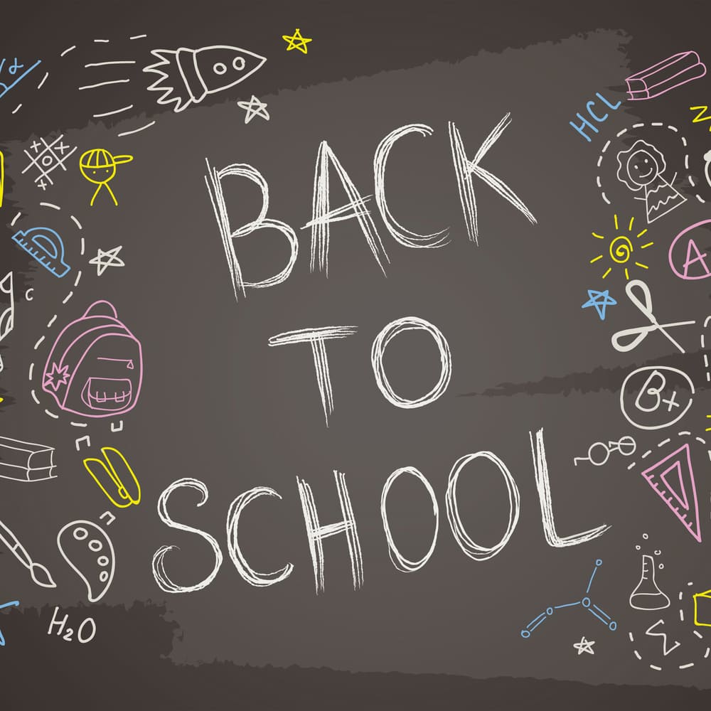 Chalk Writing Back to School Photography Backdrop DBD7-2 – Dbackdrop
