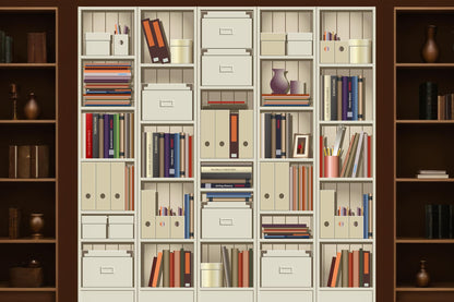 Modern Bookshelf Back to School Backdrop DBD7-46 – Dbackdrop