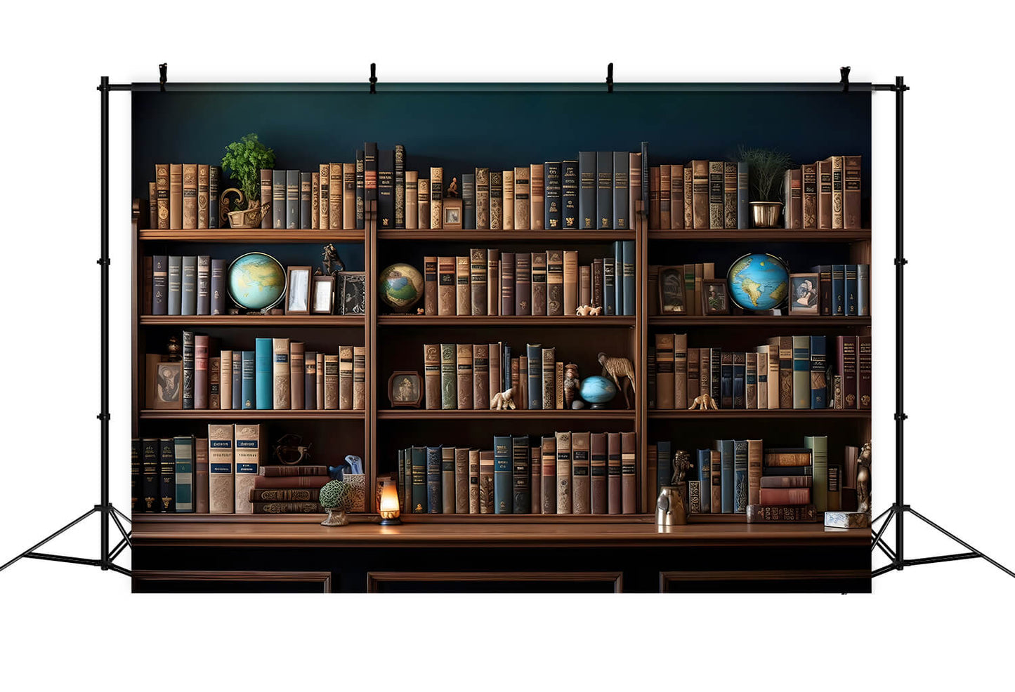 Library Bookshelf Books Back to School Backdrop DBD7-6 – Dbackdrop