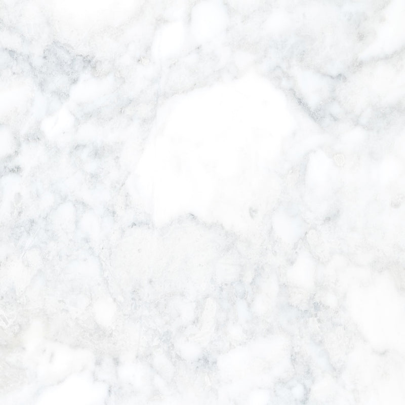 White Marble Backdrop Delicate Cool Tone Studio Backdrop GQ4-144