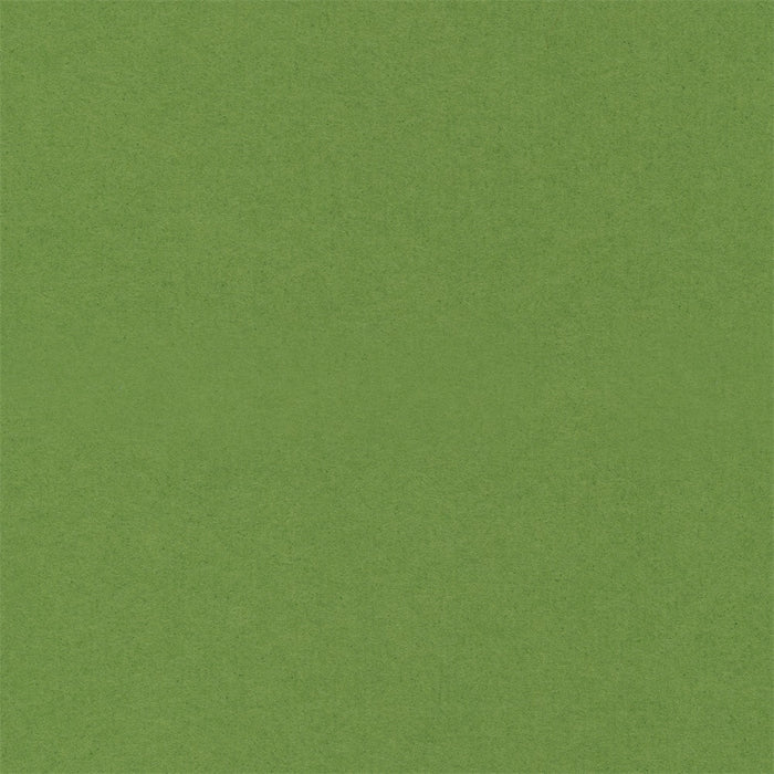 Graduation Portrait Backdrop Pure Green Smooth Backdrop GQ4-178