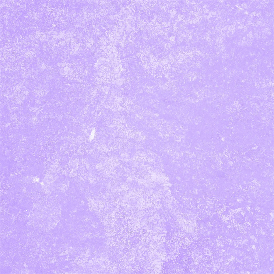 Professional Headshot Backdrop Violet Texture Matte Backdrop GQ4-212