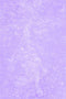 Professional Headshot Backdrop Violet Texture Matte Backdrop GQ4-212