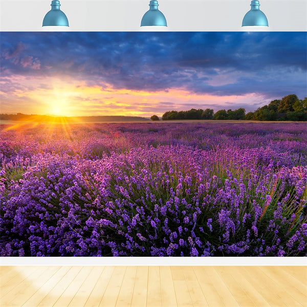 Lavender Photo Backdrop Twilight Purple Meadow Backdrop GQ4-24