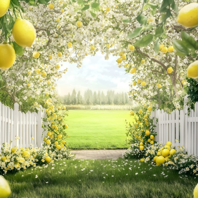 Lemon Backdrop Blooming Summer Tree Path Backdrop GQ4-265