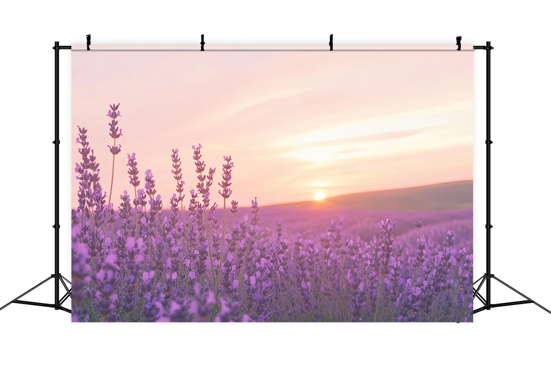 Lavender Photo Backdrop Sunset Floral Field Backdrop GQ4-32