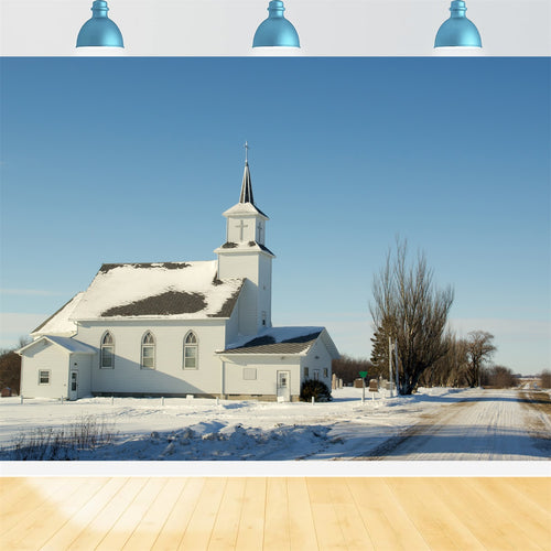 Church Photo Backdrop Winter Architecture Backdrop GQ4-69