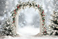 Winter Snow Backdrop Snowy Garland Arch Backdrop GQ57-139