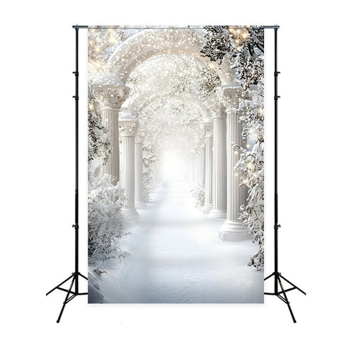 Winter Backdrop Royal Snow Arch Corridor Backdrop GQ57-177