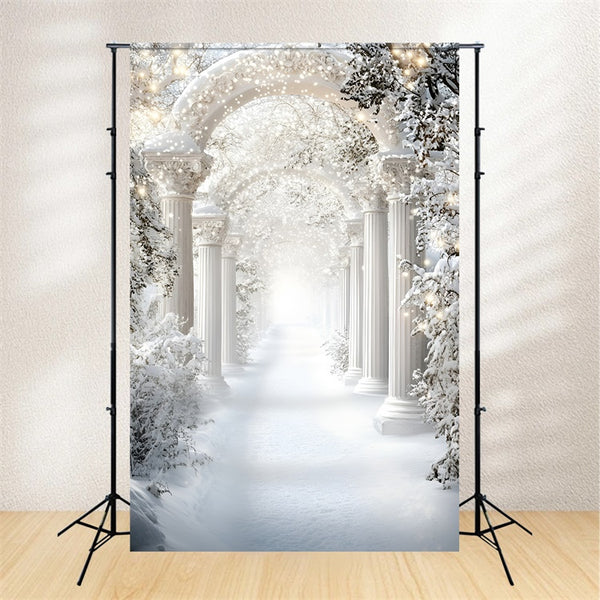Winter Backdrop Royal Snow Arch Corridor Backdrop GQ57-177