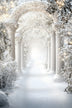 Winter Backdrop Royal Snow Arch Corridor Backdrop GQ57-177