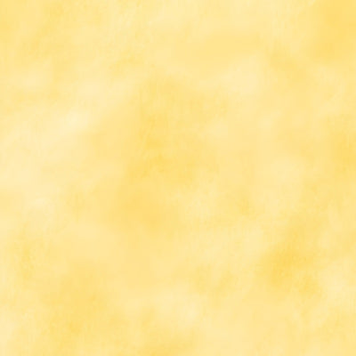 Yellow Backdrop Soft Warm Yellow Gradient Texture Photography Portrait