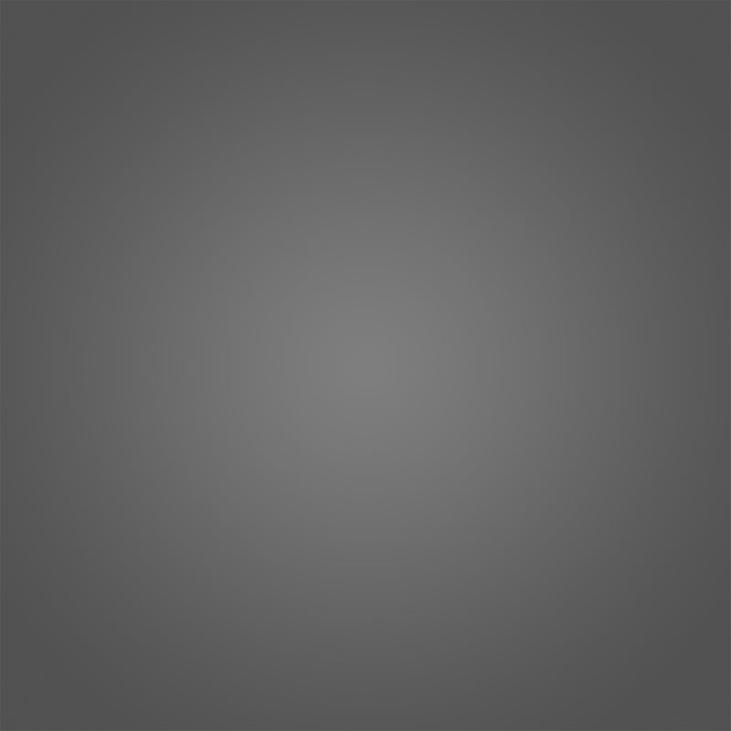 Grey Backdrop Soft Vignette Portrait Photography Backdrop GTY2-126