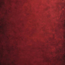 Red Photo Backdrop Texture Portrait Photography Backdrop GTY2-133