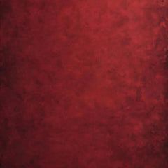 Red Photo Backdrop Texture Portrait Photography Backdrop GTY2-133