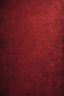 Red Photo Backdrop Texture Portrait Photography Backdrop GTY2-133