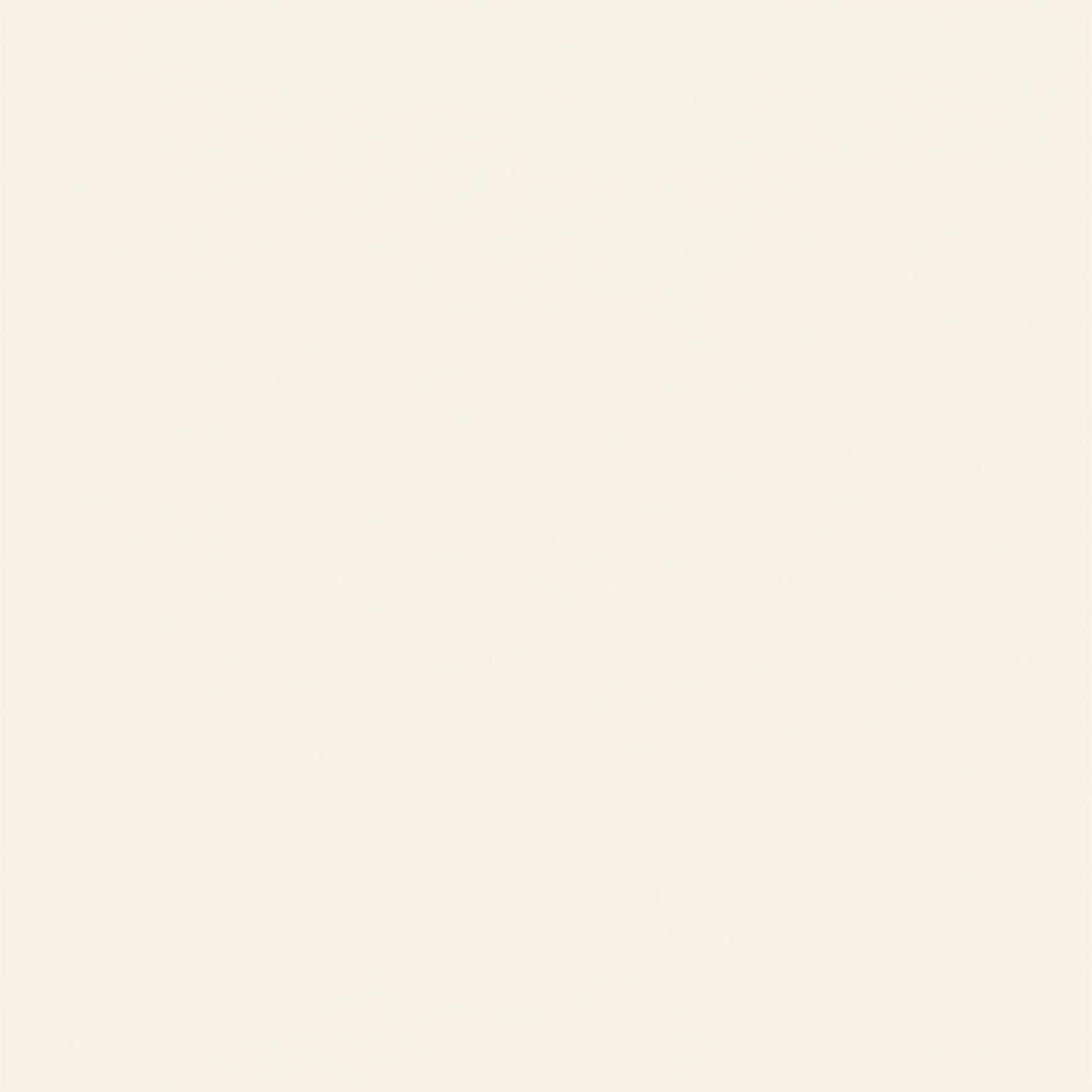 White Photo Backdrop Soft Beige Neutral Backdrop GTY2-154