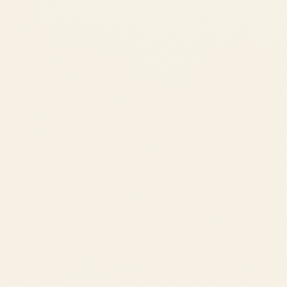 White Photo Backdrop Soft Beige Neutral Backdrop GTY2-154