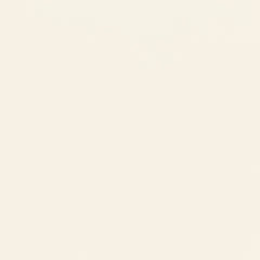 White Photo Backdrop Soft Beige Neutral Backdrop GTY2-154