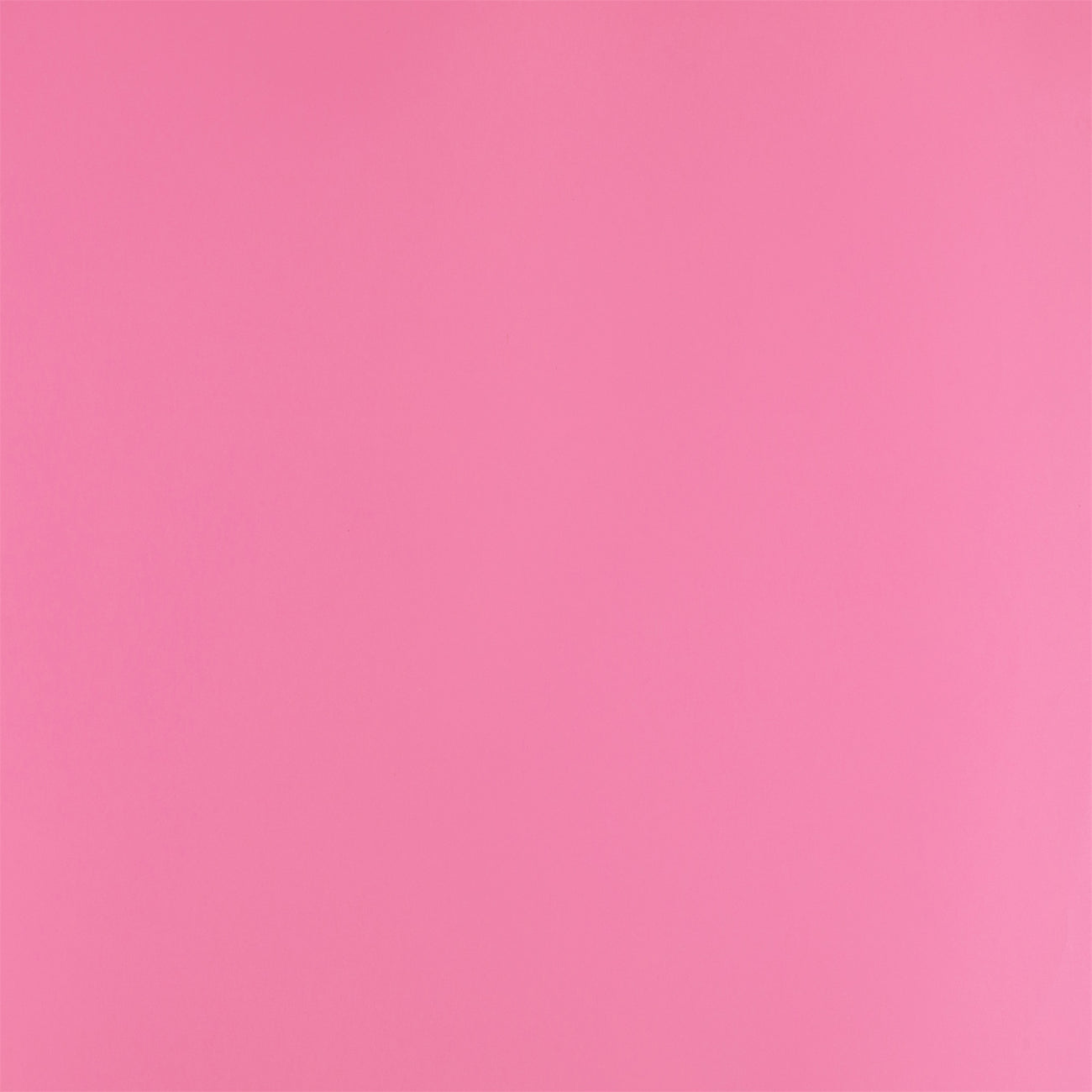 Pink Photography Backdrop Baby Pink Smooth Backdrop GTY2-160