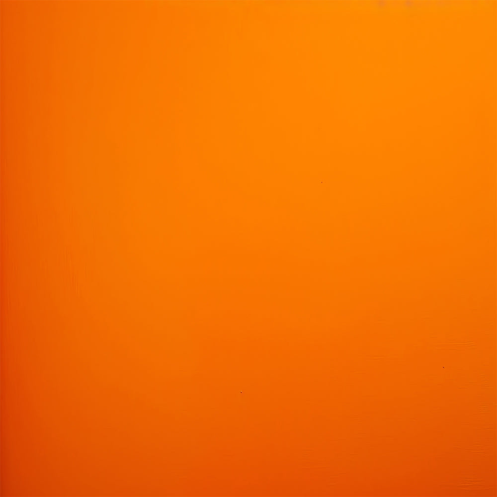 Orange Backdrop Photoshoot Bright Mandarin Hue Backdrop GTY2-170