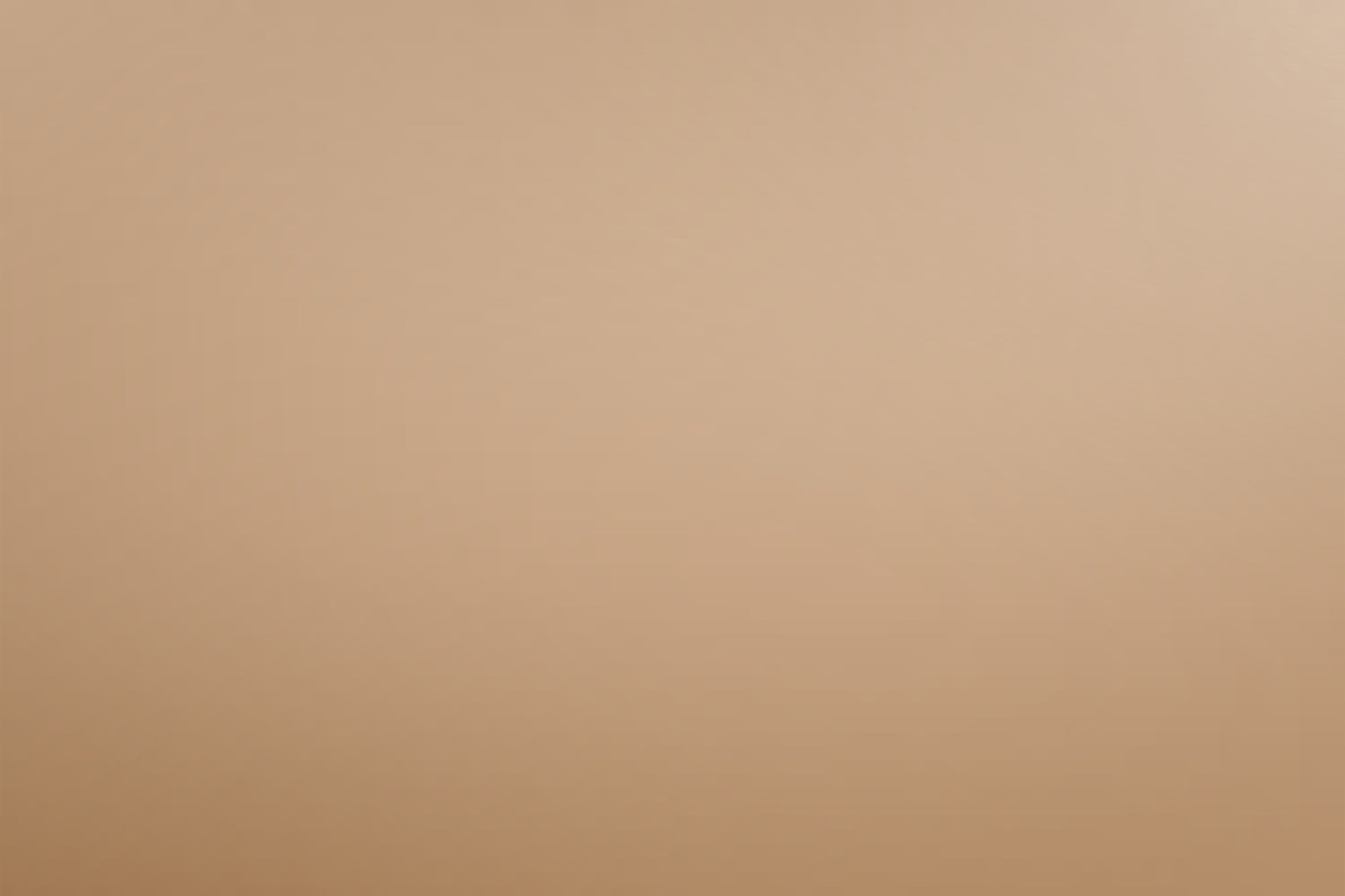 Solid Color Backdrop Cozy Toffee Brown Backdrop GTY2-186