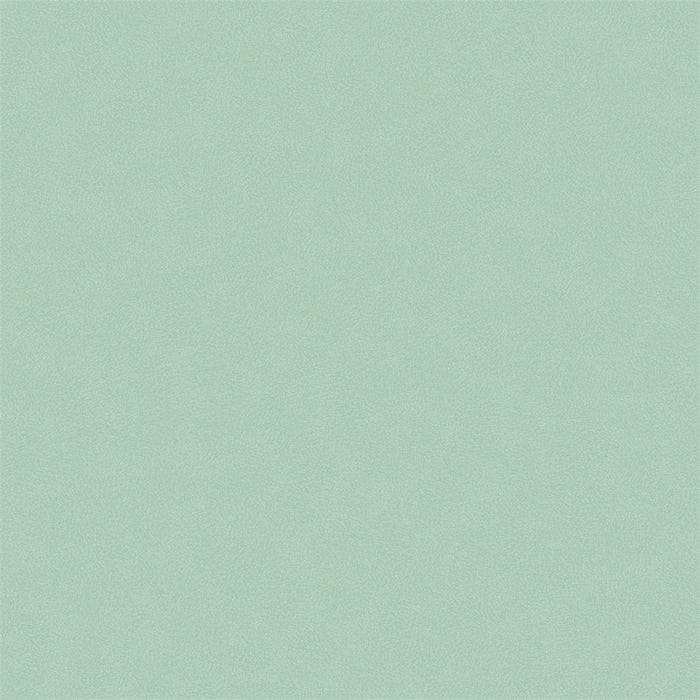 Light Green Backdrop Soft Mint Pastel Texture Backdrop GTY3-105