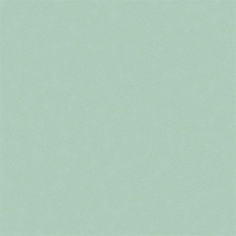 Light Green Backdrop Soft Mint Pastel Texture Backdrop GTY3-105