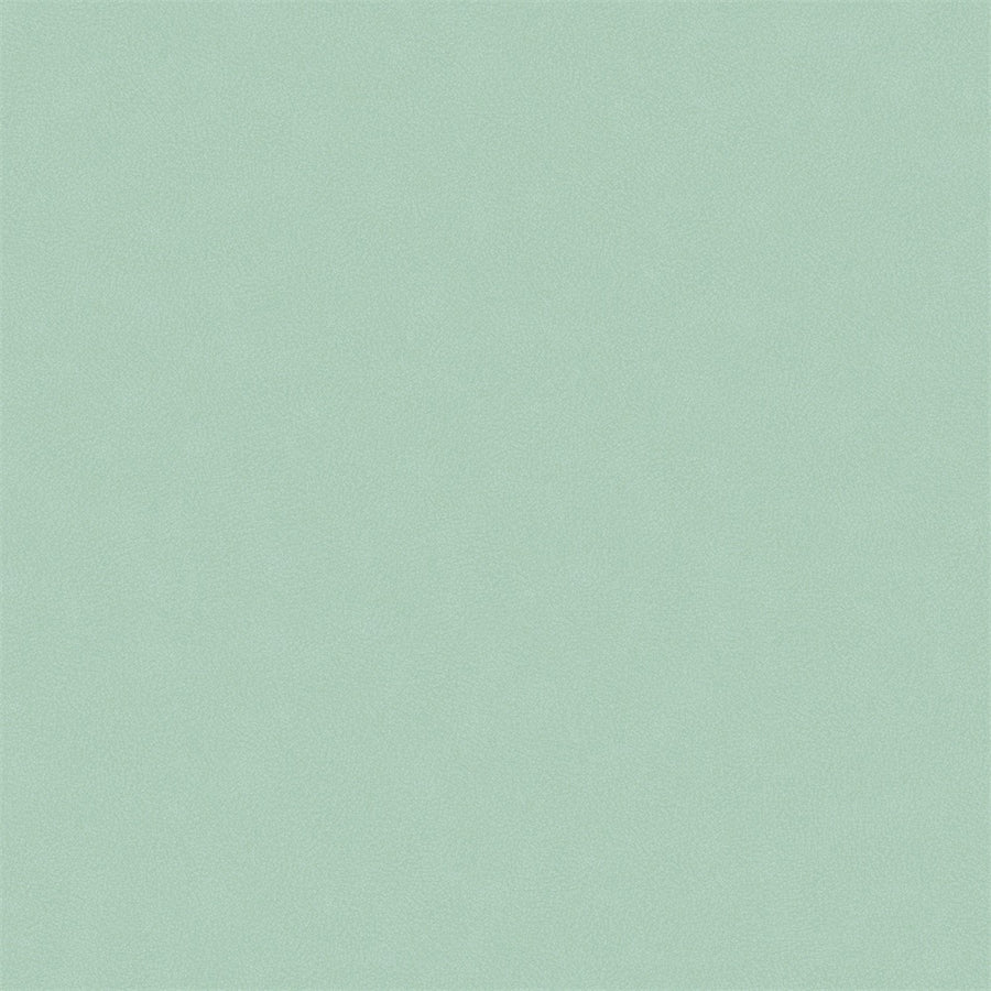 Light Green Backdrop Soft Mint Pastel Texture Backdrop GTY3-105