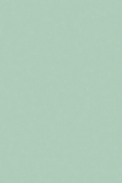 Light Green Backdrop Soft Mint Pastel Texture Backdrop GTY3-105