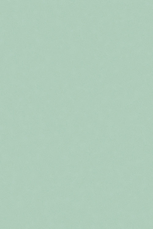 Light Green Backdrop Soft Mint Pastel Texture Backdrop GTY3-105