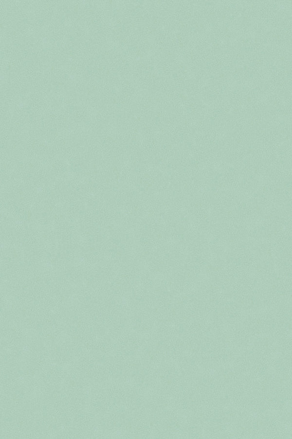 Light Green Backdrop Soft Mint Pastel Texture Backdrop GTY3-105