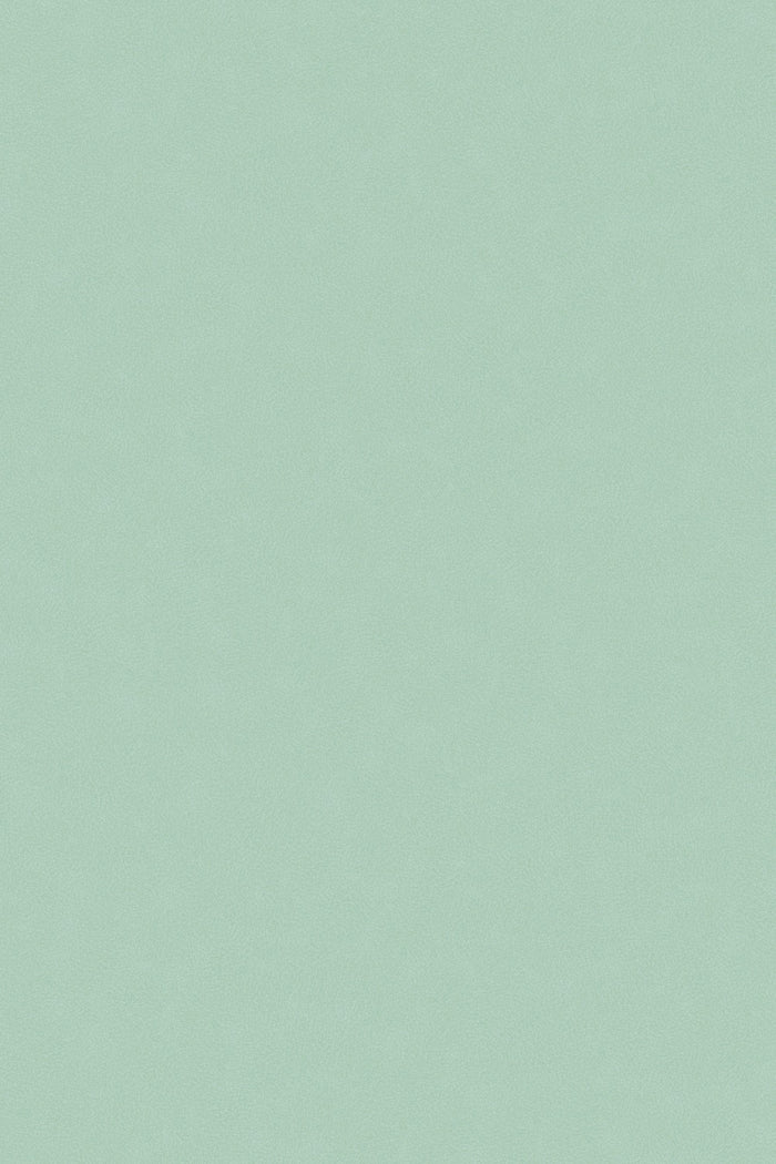 Light Green Backdrop Soft Mint Pastel Texture Backdrop GTY3-105