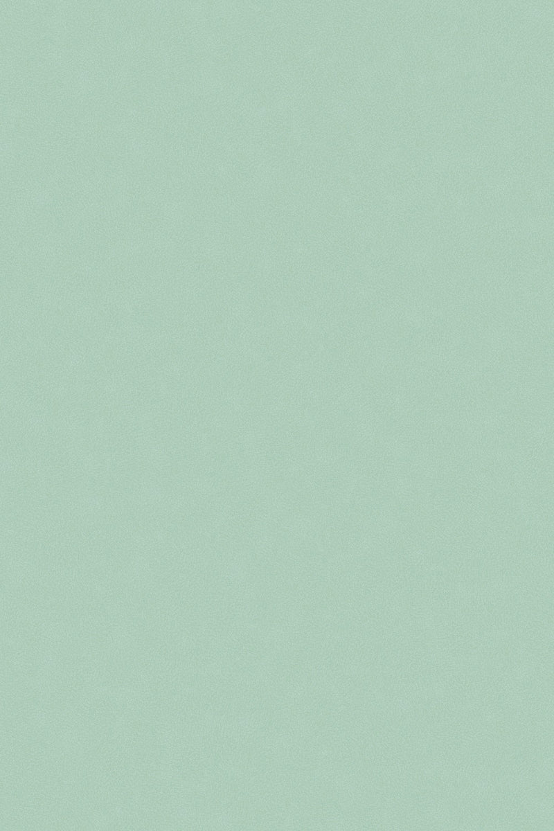 Light Green Backdrop Soft Mint Pastel Texture Backdrop GTY3-105