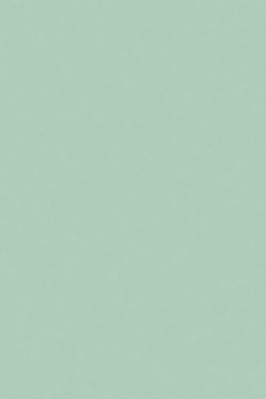 Light Green Backdrop Soft Mint Pastel Texture Backdrop GTY3-105