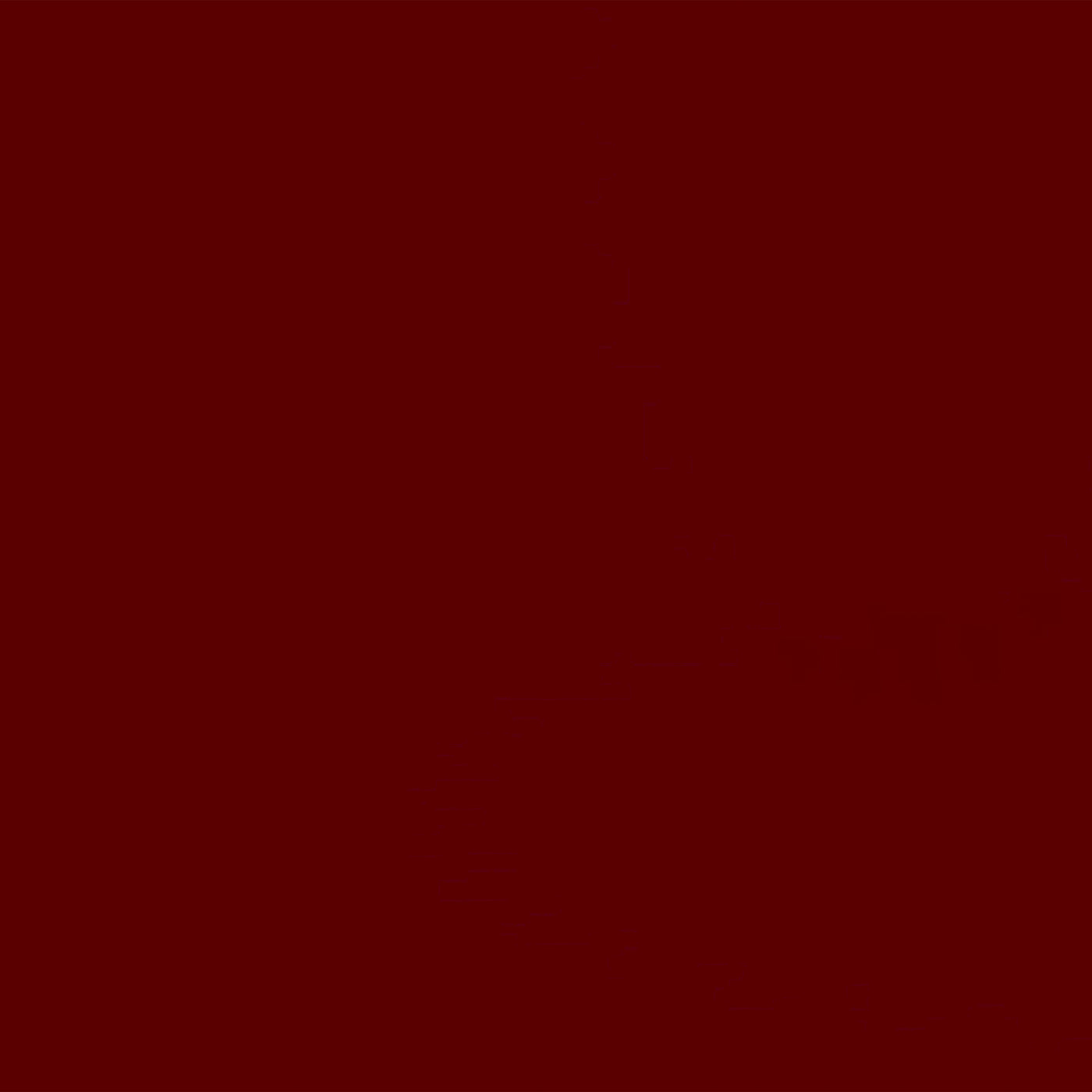 Red Backdrop Deep Wine Red Photography Backdrop GTY3-325