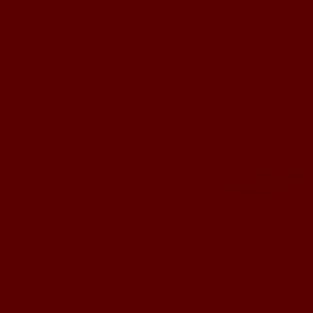 Red Backdrop Deep Wine Red Photography Backdrop GTY3-325