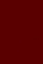 Red Backdrop Deep Wine Red Photography Backdrop GTY3-325