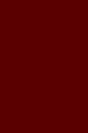 Red Backdrop Deep Wine Red Photography Backdrop GTY3-325