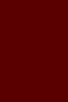 Red Backdrop Deep Wine Red Photography Backdrop GTY3-325