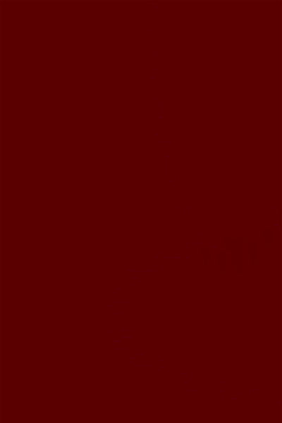 Red Backdrop Deep Wine Red Photography Backdrop GTY3-325