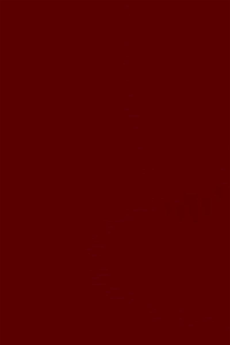 Red Backdrop Deep Wine Red Photography Backdrop GTY3-325