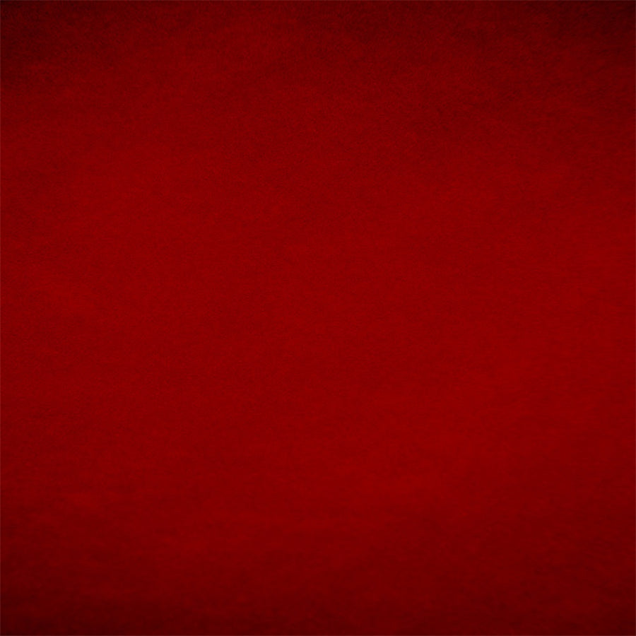 Red Backdrop Matte Red Velvet Texture Backdrop GTY3-330