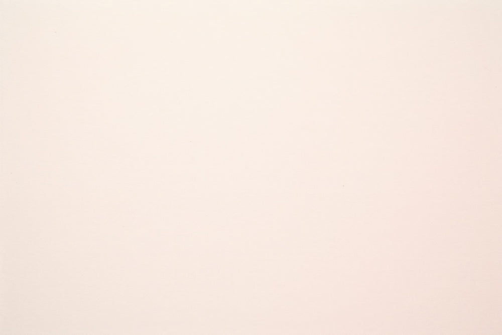 Backdrop For Headshots Soft Beige Minimalist Backdrop GTY3-349