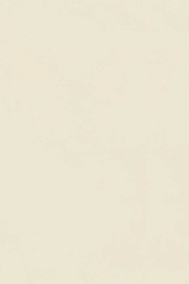 Professional Graduation Photo Backdrop Butter Cream Backdrop GTY3-354