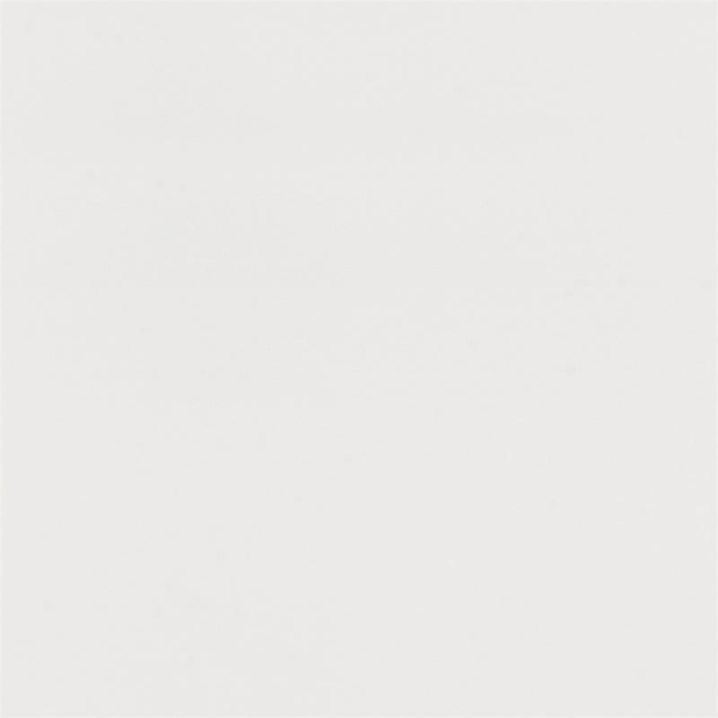 Graduation Portrait Backdrop Pale Ash Minimalist Texture Backdrop GTY3